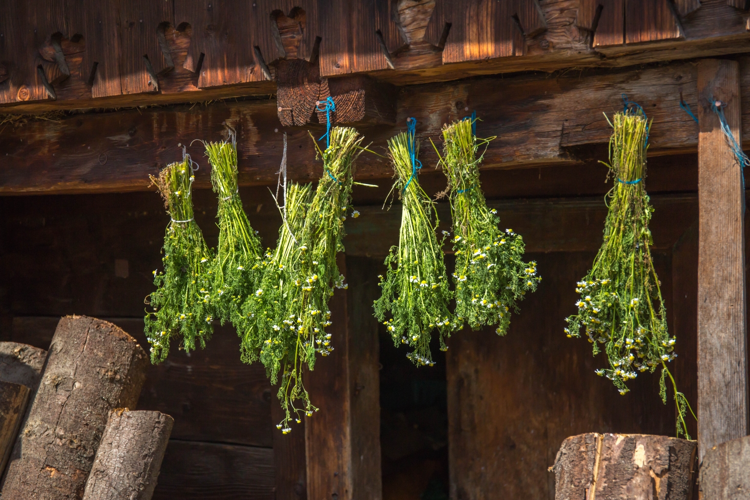Sadova Bucovina - Satul cu oameni frumosi