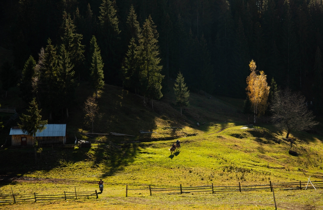 Sadova Facts & FAQ - Sadova | Despre Sadova Bucovina