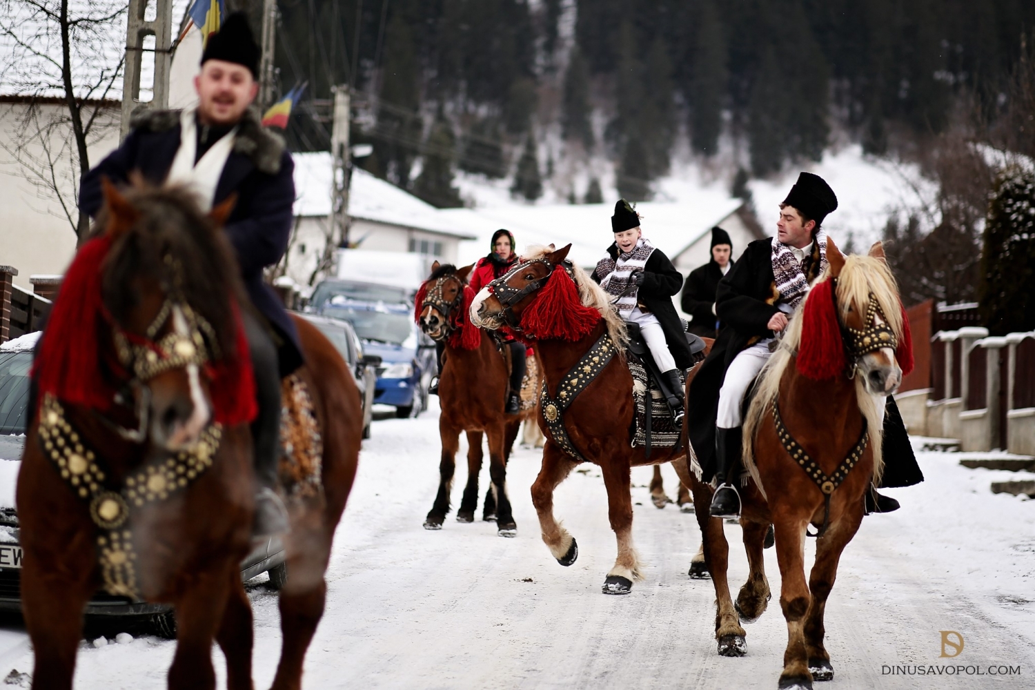 Festivaluri - Sadova Bucovina | Evenimente și festivaluri