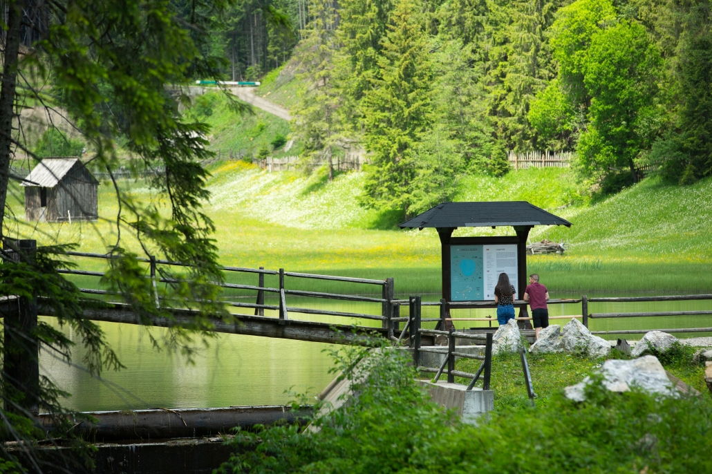 6 experiențe pe timp de vară în Sadova - Sadova | Vizitează Bucovina